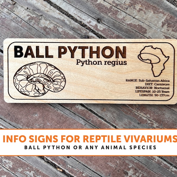 Reptile Terrarium Deco - Etsy