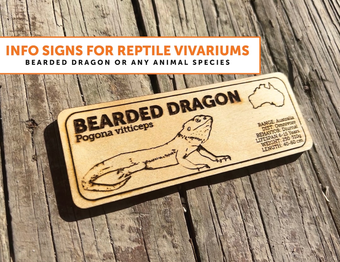 Bearded Dragon Zoological Species Sign | ANY SPECIES | Wooden ...