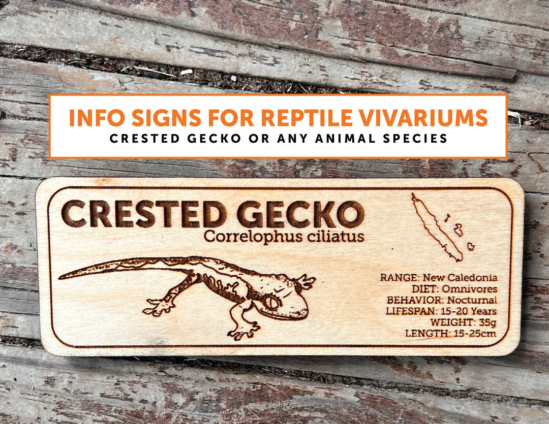 Crested Gecko Zoological Species Sign | ANY SPECIES | Wooden ...