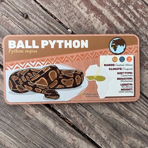 Wooden LEOPARD GECKO Zoological Species Sign Full Color Reptiles Ball ...