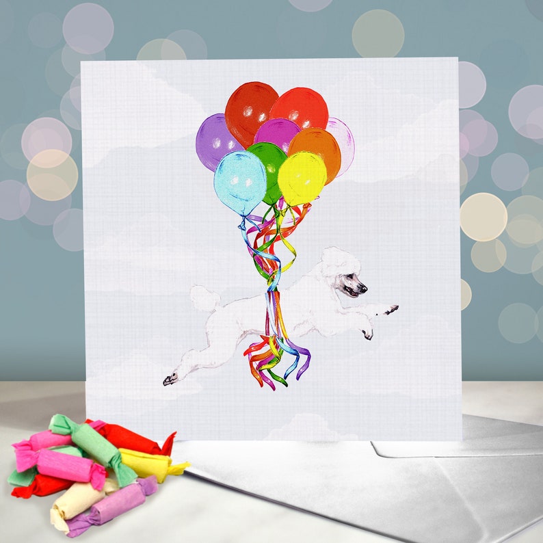 Standard Poodle Birthday Greeting Cards - Party Hats on Five Different ...