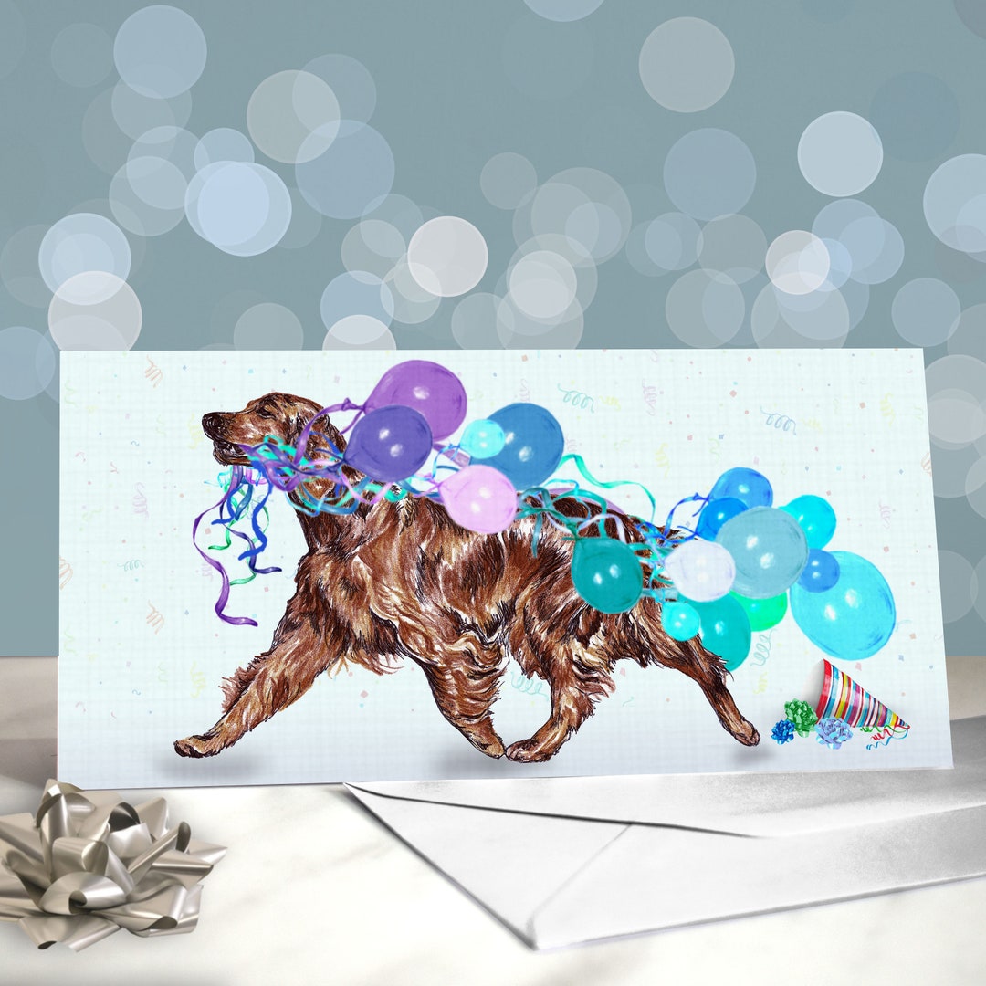 Irish Red Setter Birthday Greeting Card / Blank Inside / Card From the ...
