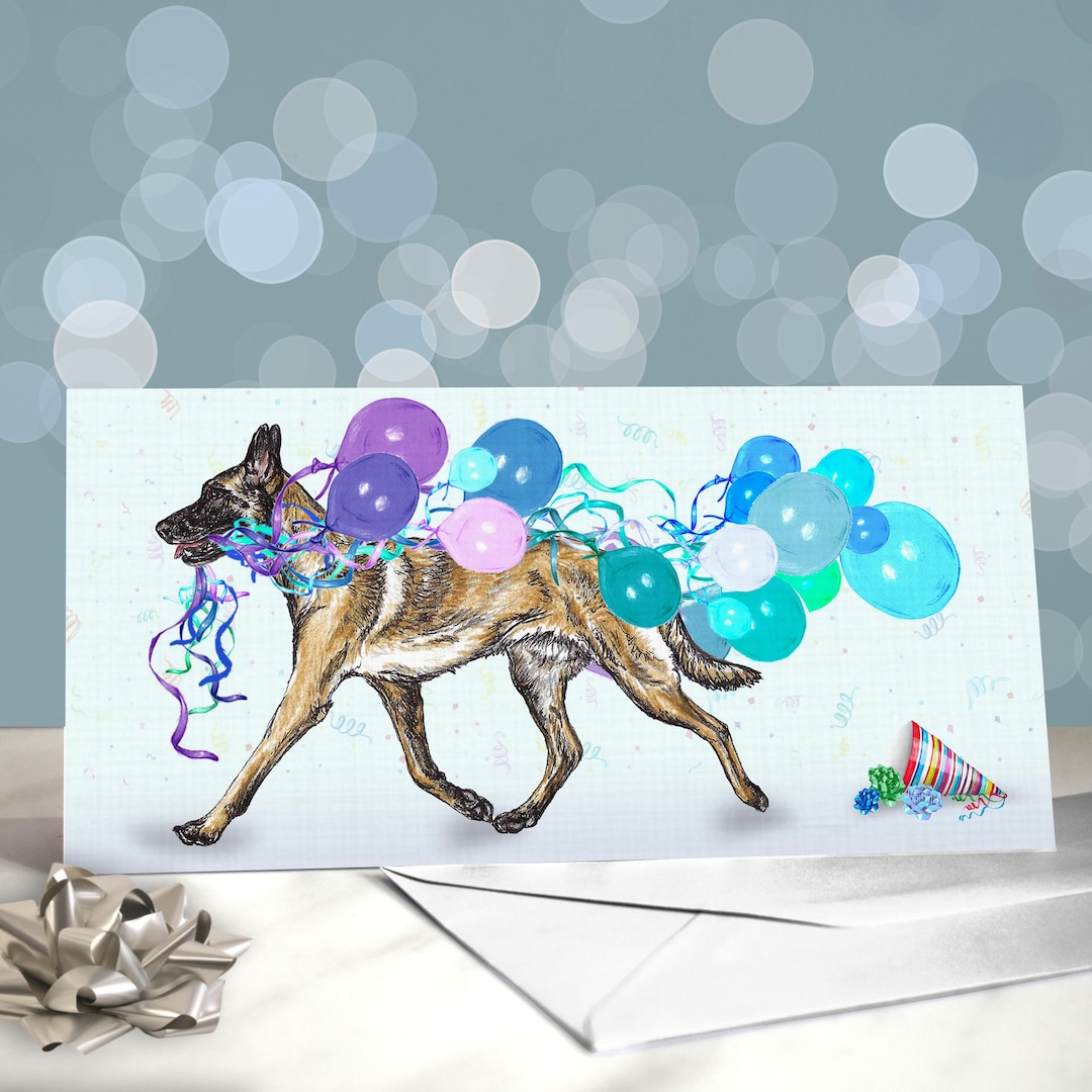 Belgian Malinois Birthday Greeting Card / Blank Inside / Card From the ...