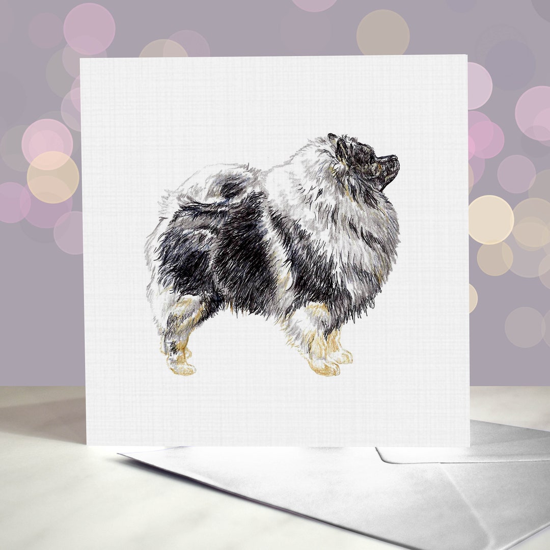Keeshond Greeting Card / Variety of Spitz Cards / Card From the Dog ...