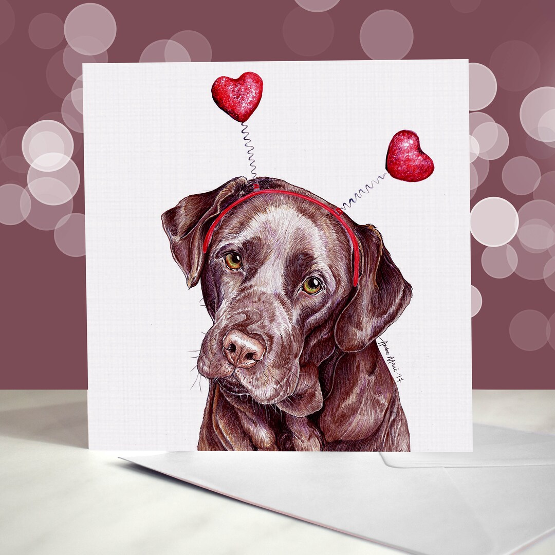Labrador Greeting Card - Variety of Chocolate Lab Anniversary Cards - I ...