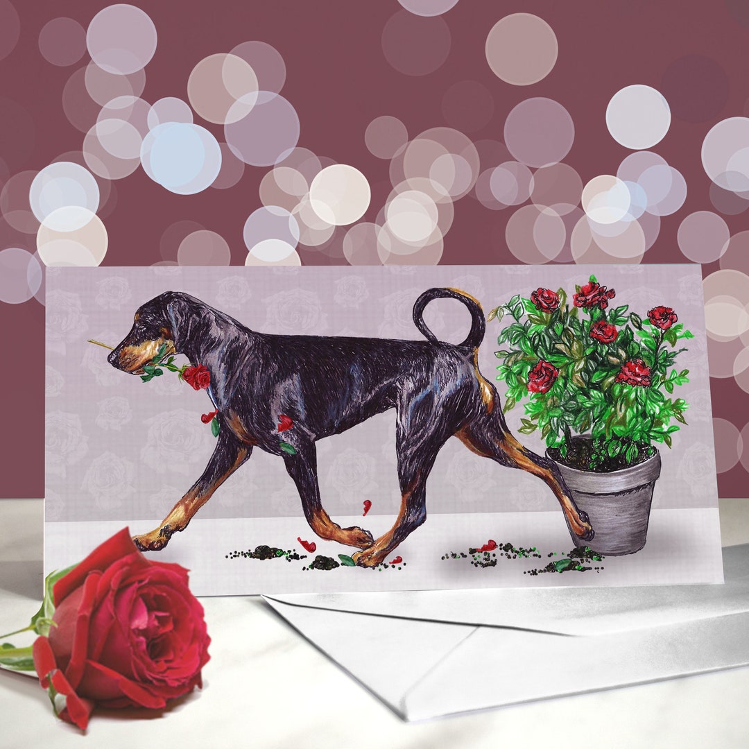 Dobermann Pinscher Variety of Anniversary Cards I Love You Card for ...
