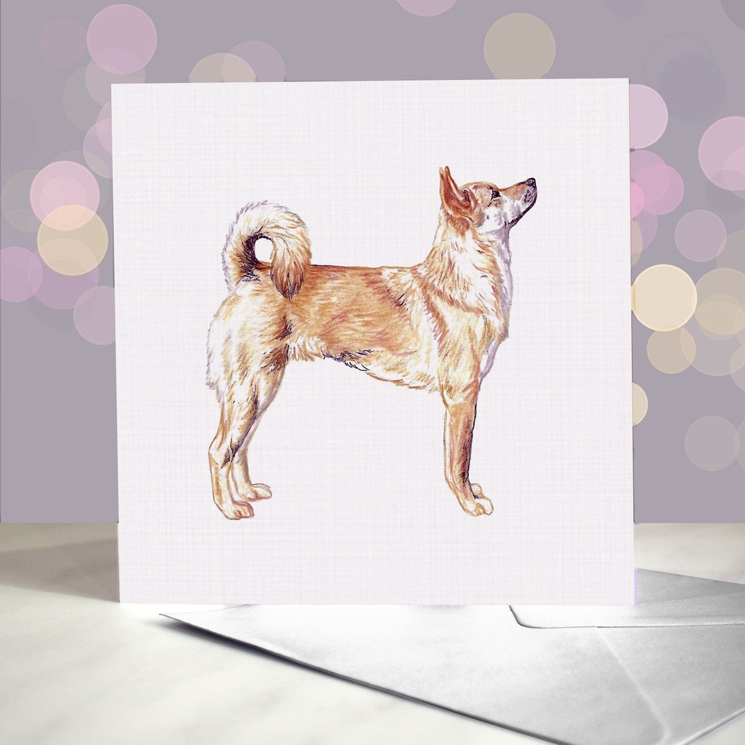 Korean Jindo - Spitz Dog Greeting Card / Blank Inside / Card From the ...