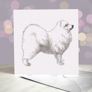 Samoyed Greeting Card / Blank Inside / Card From the Dog / for Groomers ...