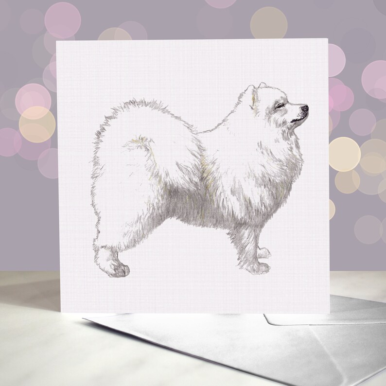 Samoyed Greeting Card / Blank Inside / Card From the Dog / for Groomers ...