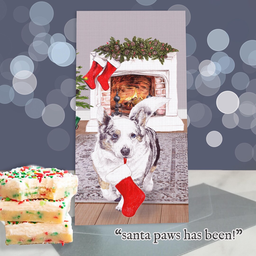 Cardigan Welsh Corgi Dog Christmas Cards - Festive Blue Merle Cardi ...