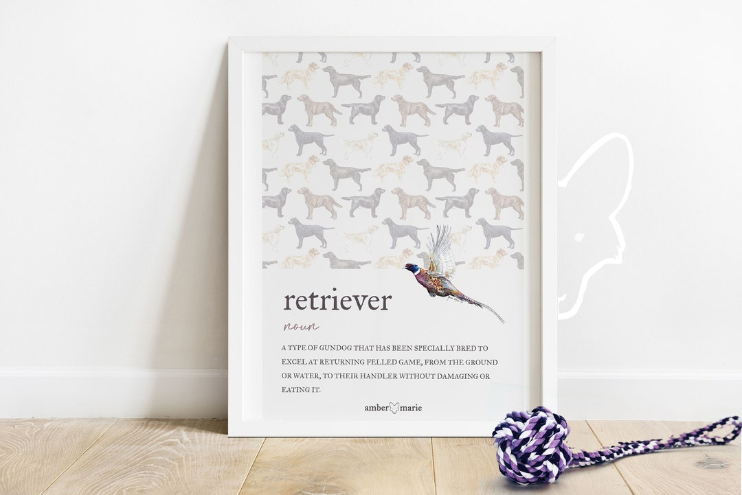 Definition of a Retriever Poster / Print Labrador, Chesapeake, Flat ...