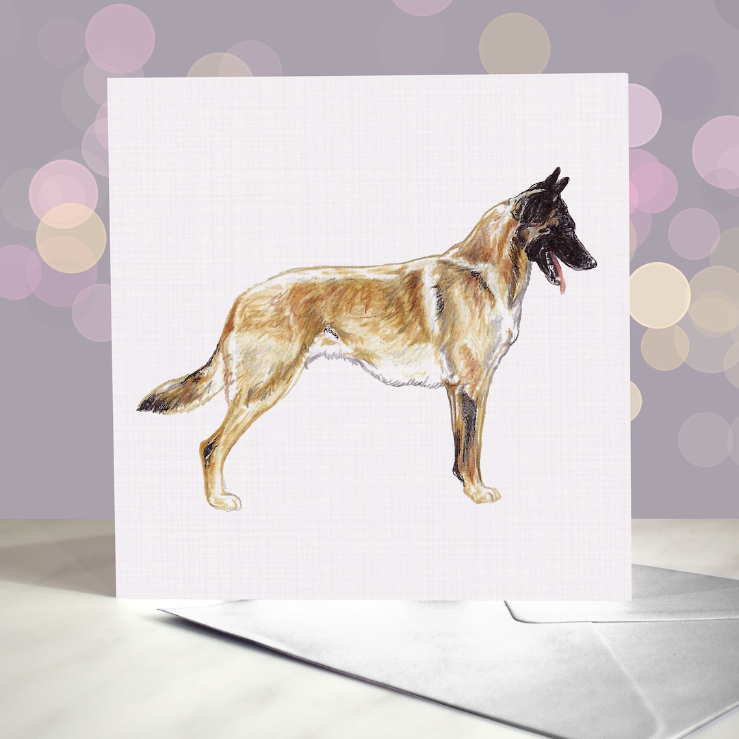 Belgian Shepherd / Malinois / Mally German Shepherd Greeting Card ...
