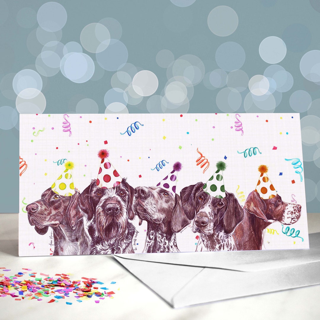 Pointer Brothers - German Shorthaired / Wirehaired / English Pointer ...