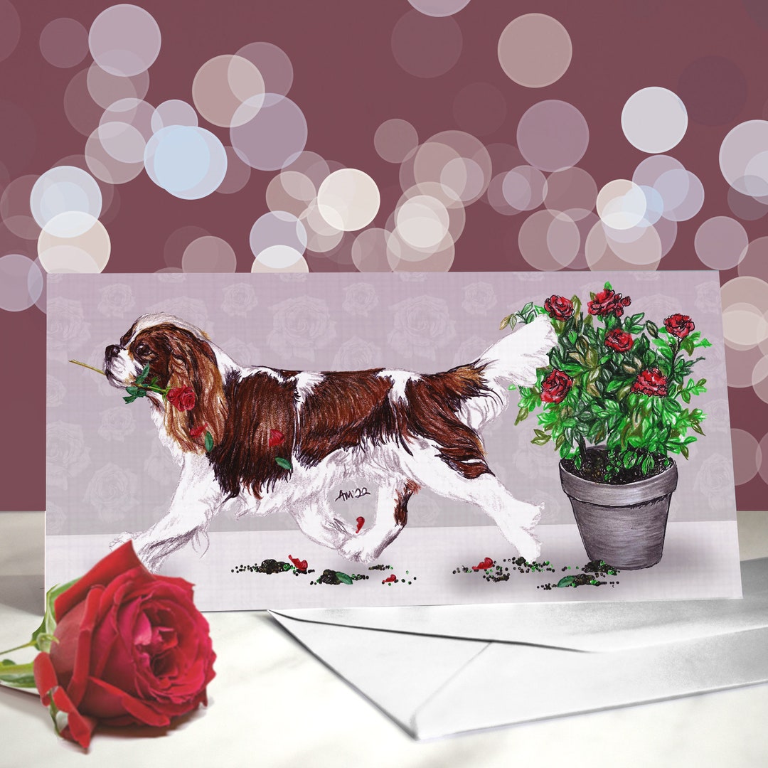 Blenheim Cavalier King Charles Spaniel - Variety of Anniversary Cards ...
