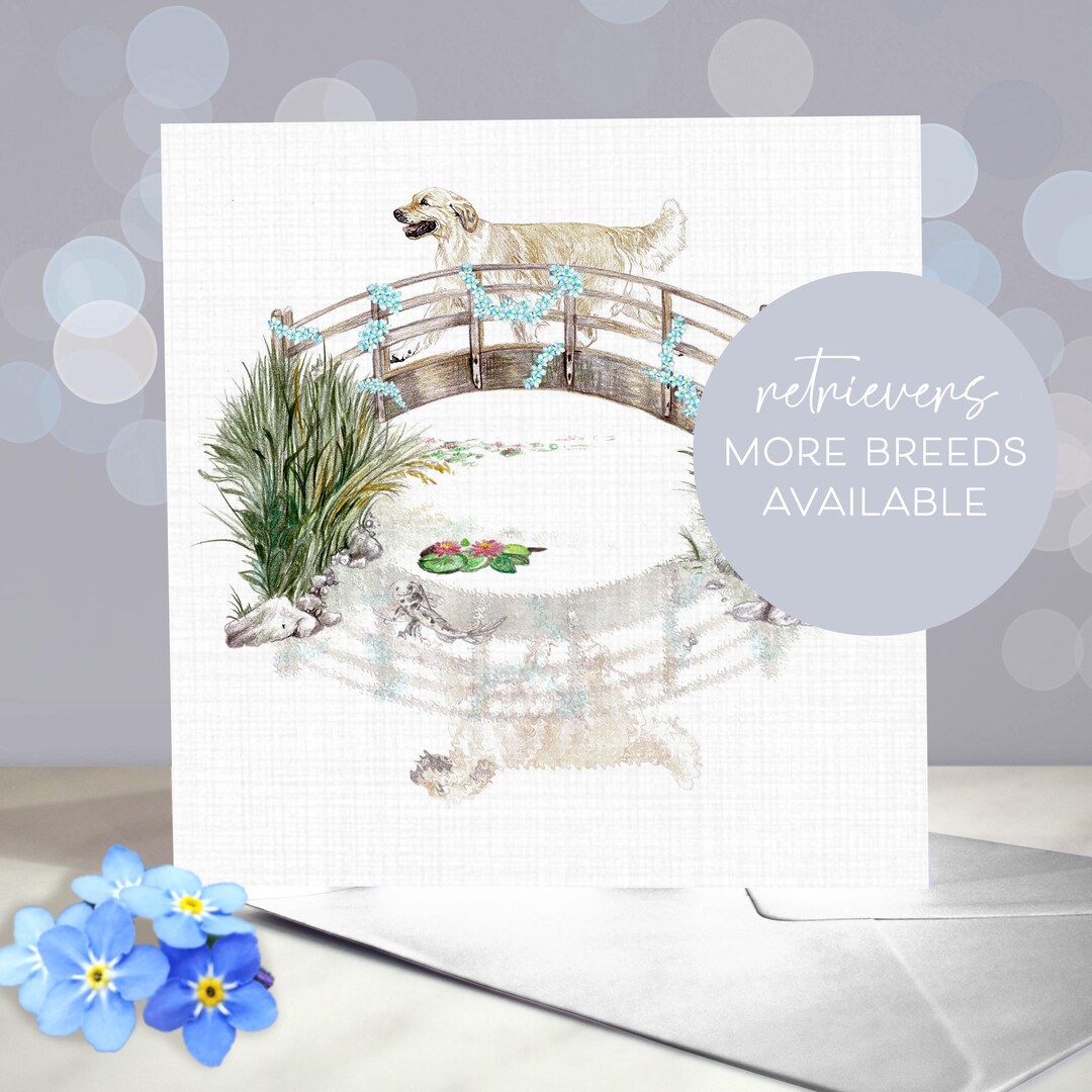 Retriever Pet Loss Sympathy Card - Chesapeake Bay, Flat, Curly Coated ...