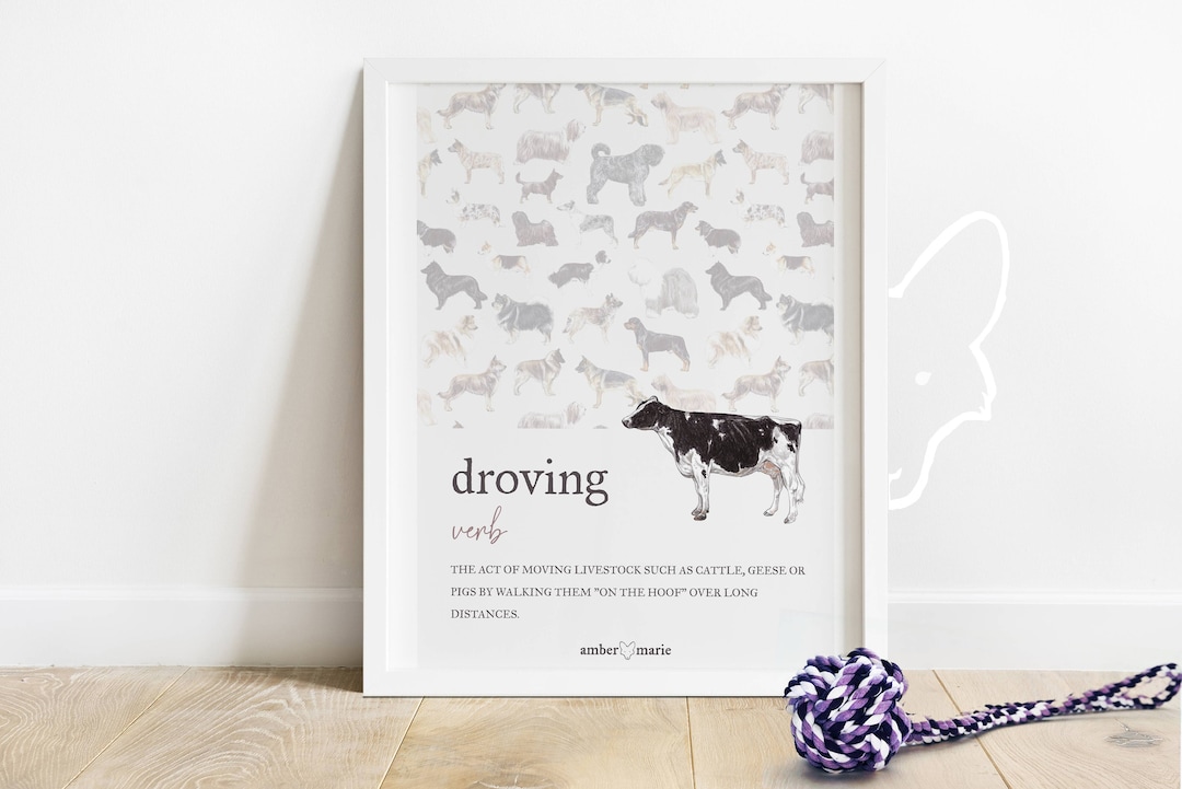 Definition of Droving Poster / Print Cattle Dog, Livestock Guardian ...