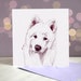 Samoyed Greeting Card / Blank Inside / Card From the Dog / for - Etsy