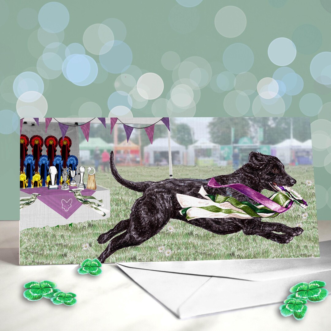 Curly Coated Retriever Good Luck Card - Qualified for Crufts Bench ...