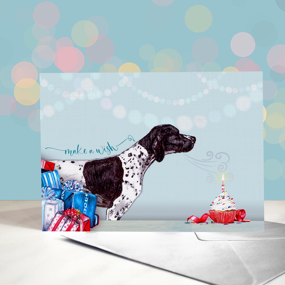 English Pointers Birthday Cards Blank Inside / Card From the - Etsy