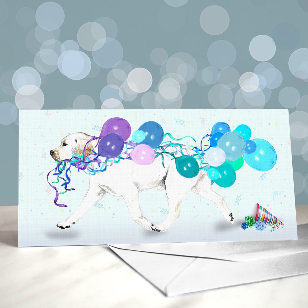 Yellow Labrador Greeting Cards Party Hats on Five Different Coloured ...