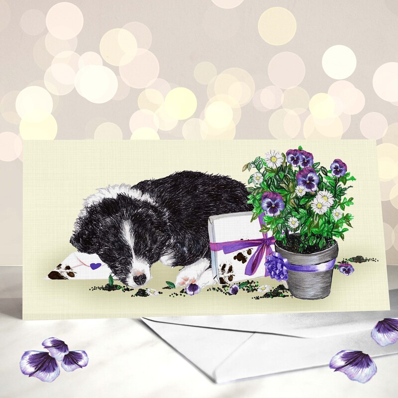 Collie Cards - Etsy