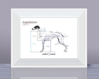 Your Favourite Breed Anatomy Print Gait Analysis of a Dog Body ...