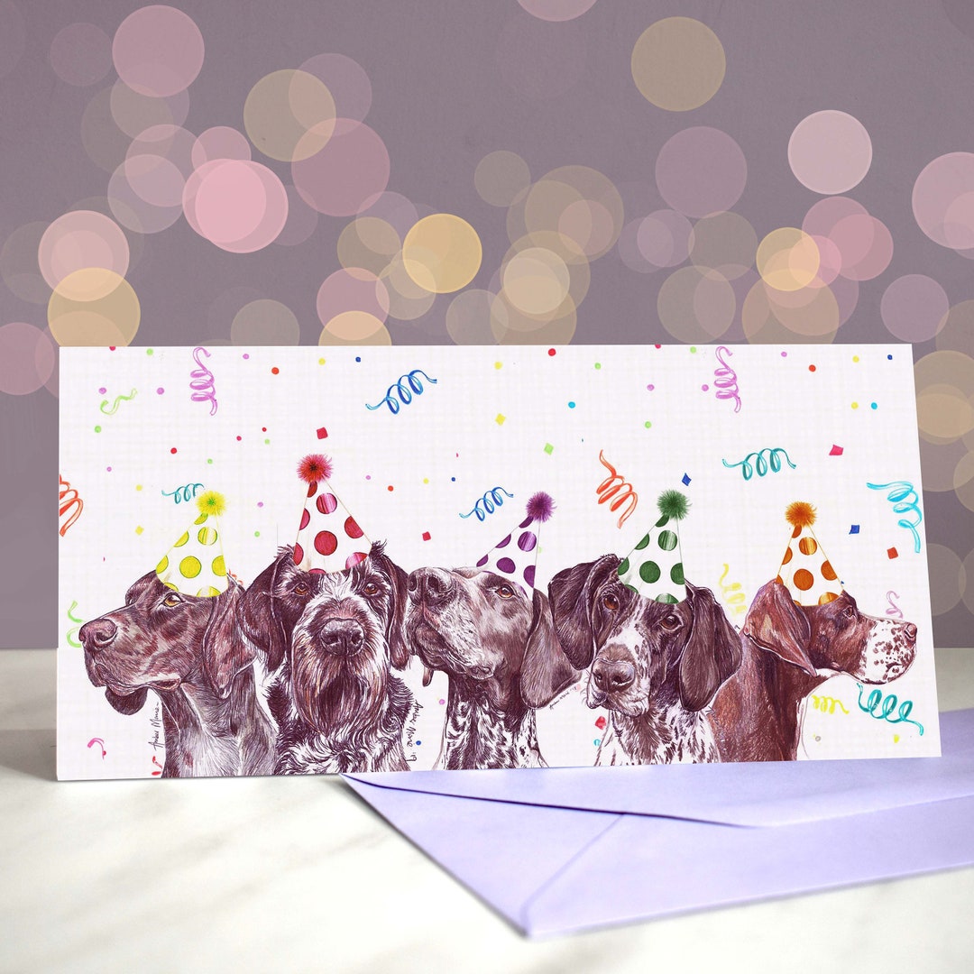 Pointer Brothers German Shorthaired / Wirehaired / English Pointer ...