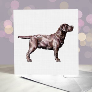 Chocolate / Brown Labrador Greeting Card / Blank Inside / Card From the ...