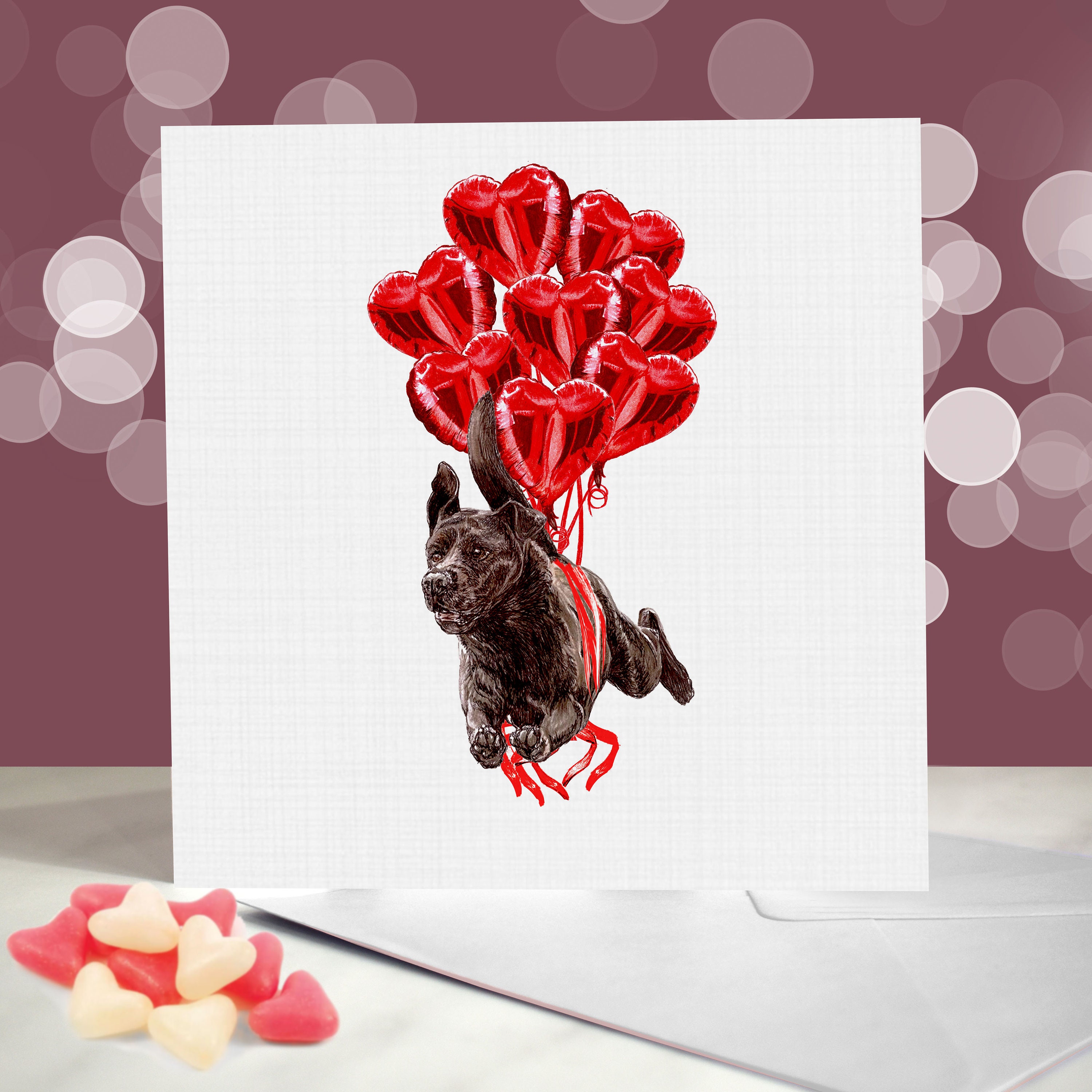 Labrador Greeting Card - Variety of Chocolate Lab Anniversary Cards - I ...