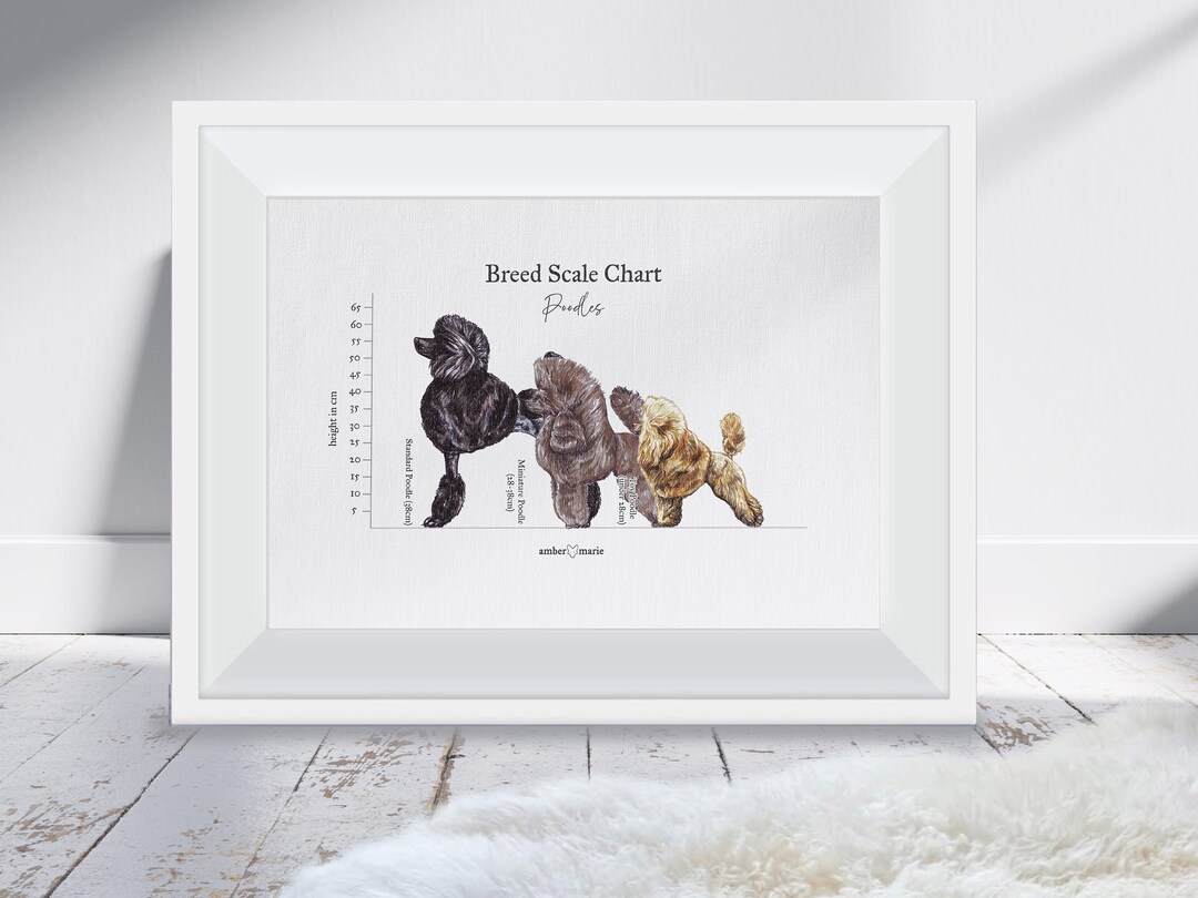 Poodle Dog Height Scale Chart Dog Poster / Print Toy, Miniature ...