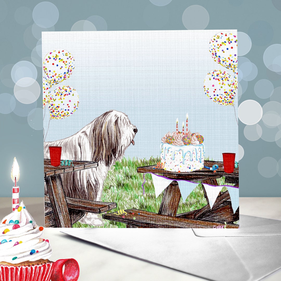 Bearded Collie Birthday Greeting Cards - Party Hats on Five Different ...