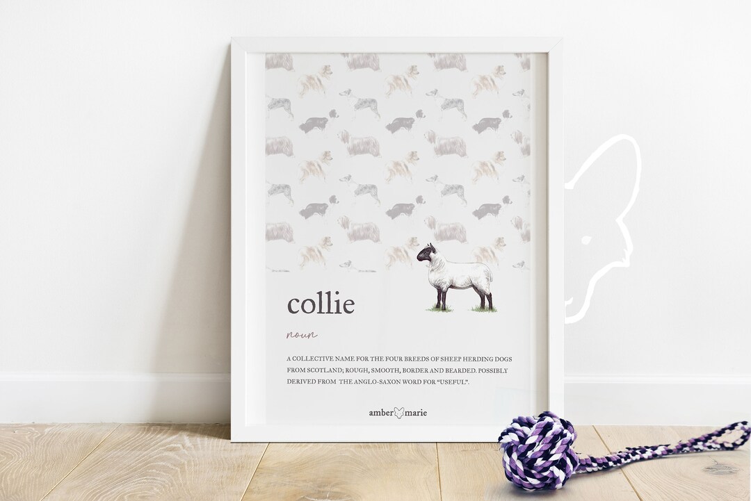Definition of a Collie Poster / Print Border, Bearded, Smooth and Rough ...