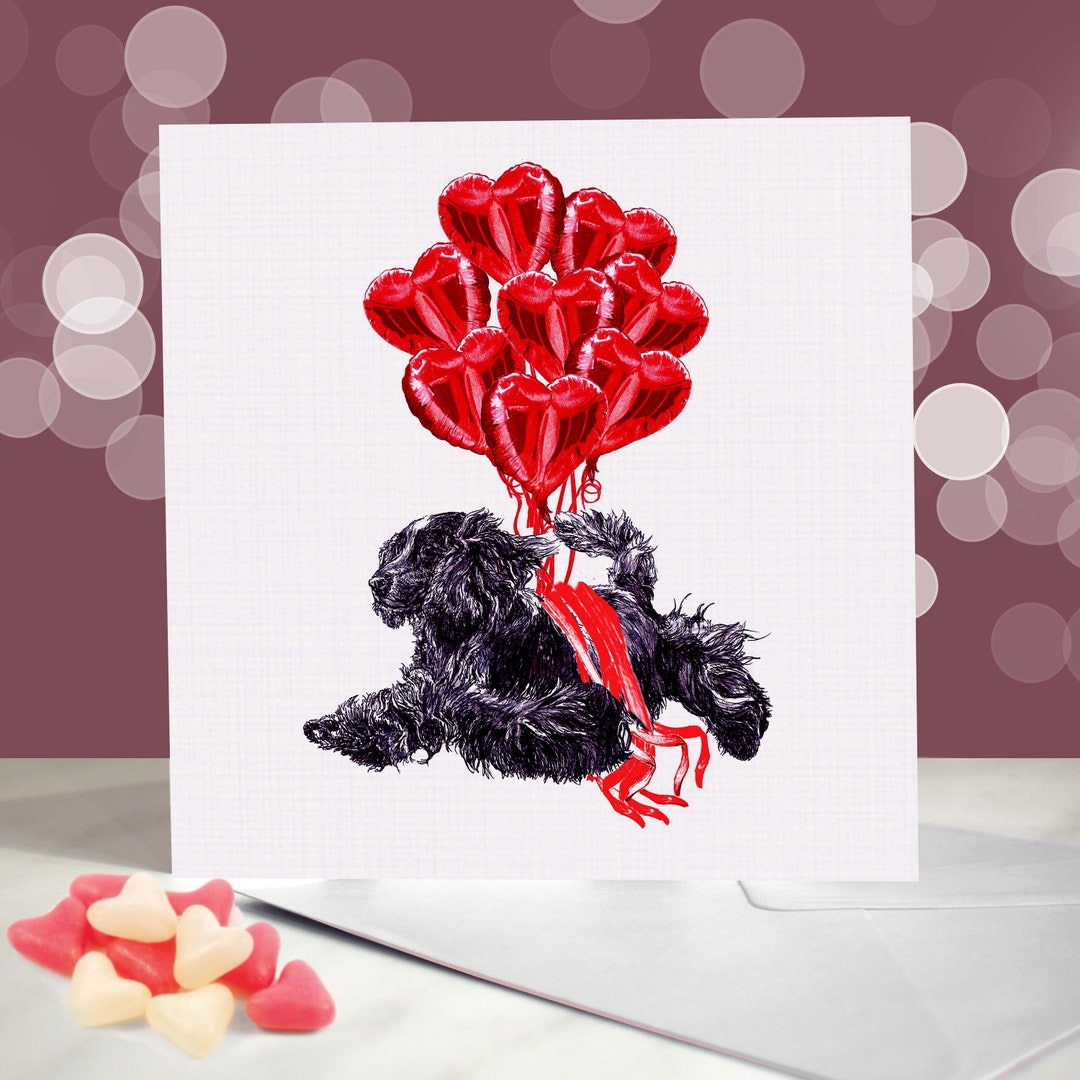 Show Type Cocker Spaniel - Variety of Anniversary and Valentines Cards ...