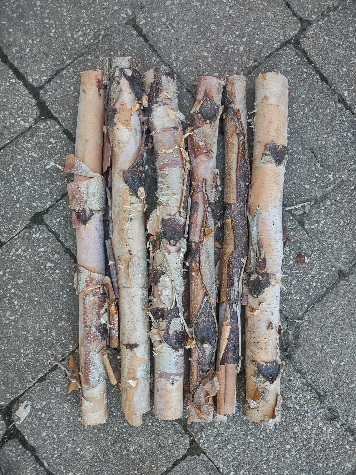 Natural River Birch Logs - 18 Inches Long - Etsy