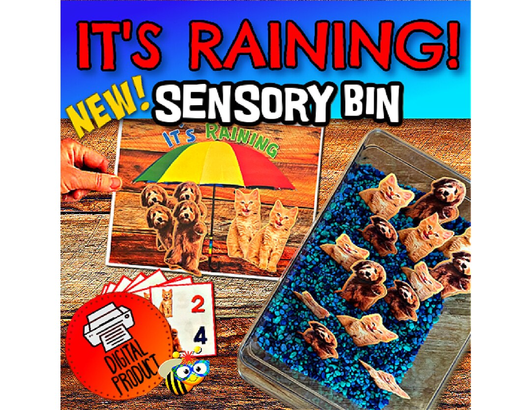 Counting Sensory Bin | Counting Activity | Sensory Bin Activity | Seek ...