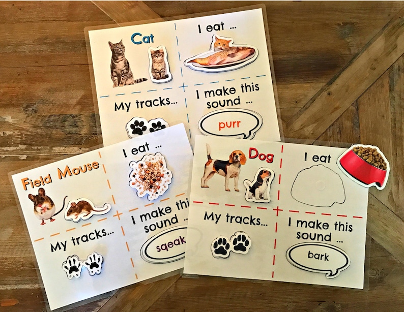 Farm Animals Sort and Match | Mother and Baby Farm Animals | Farm ...