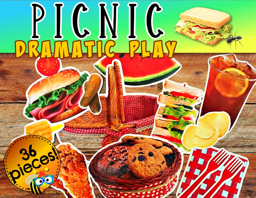 Picnic Dramatic Play Pretend Play Center Activities - Etsy