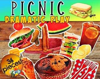 Preschool Picnic Activities - Etsy
