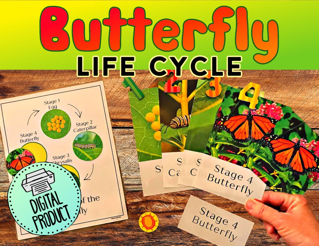 Life Cycle of a Butterfly Butterfly Three-part Cards 4 - Etsy