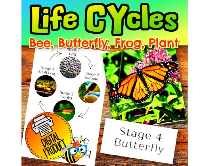 Life Cycle Crown Craft Bundle, Butterfly, Frog, Plant (digital Download ...