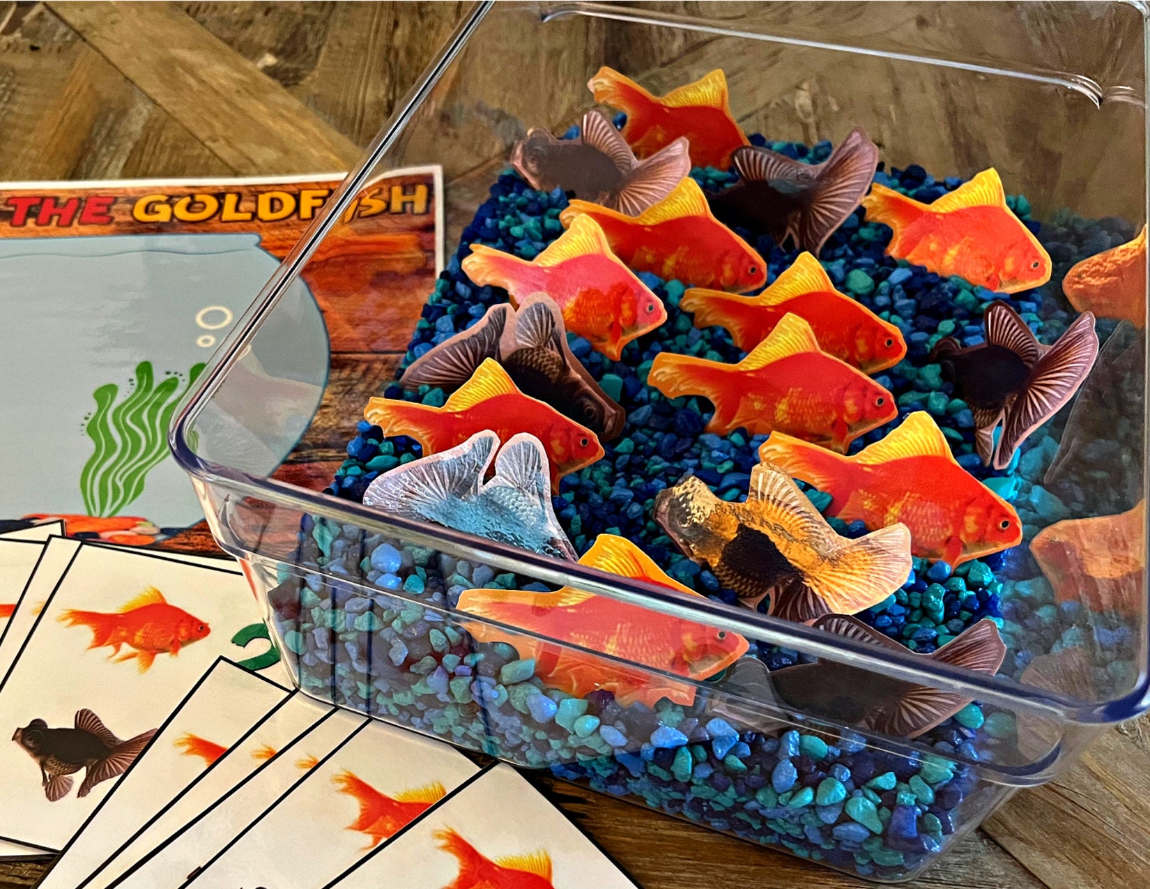 Counting Goldfish Sensory Bin Activity | Goldfish Counting | Sensory ...