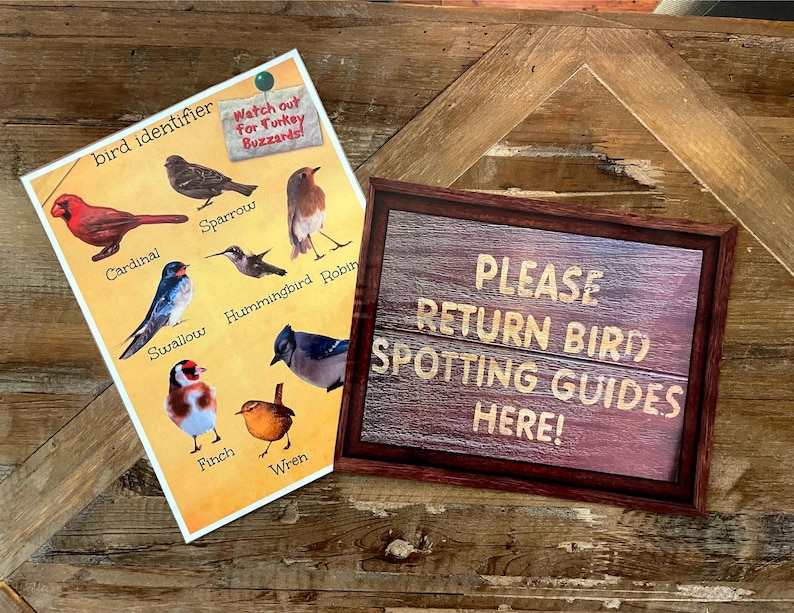 Bird Watching Dramatic Play | Science Pretend Play | Prek Pretend Play ...