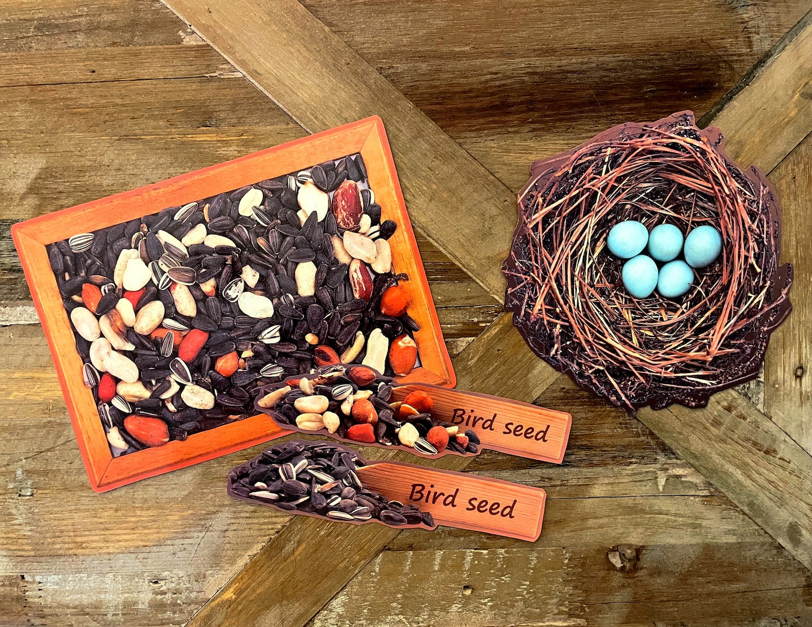 Bird Watching Dramatic Play | Science Pretend Play | Prek Pretend Play ...