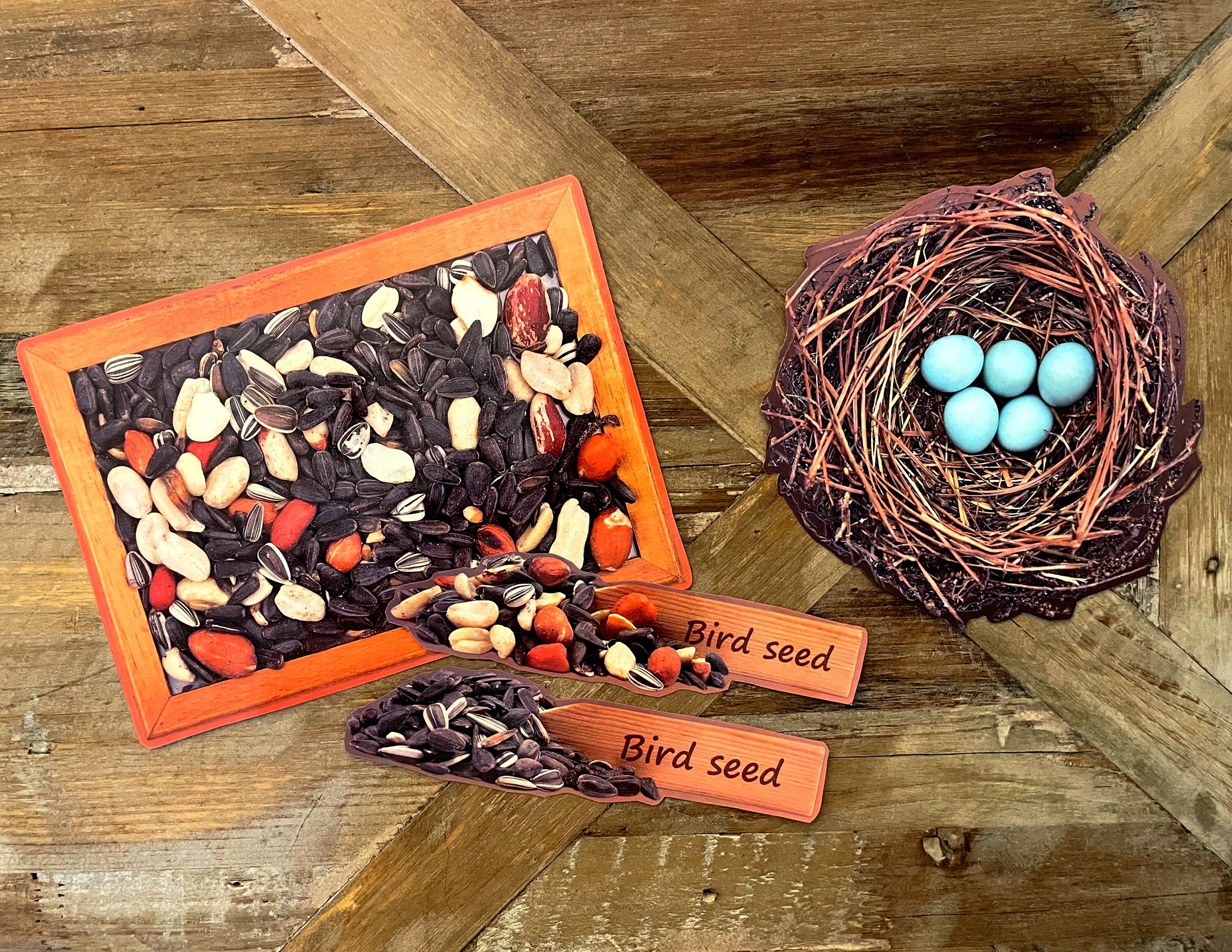 Bird Watching Dramatic Play | Science Pretend Play | Prek Pretend Play ...