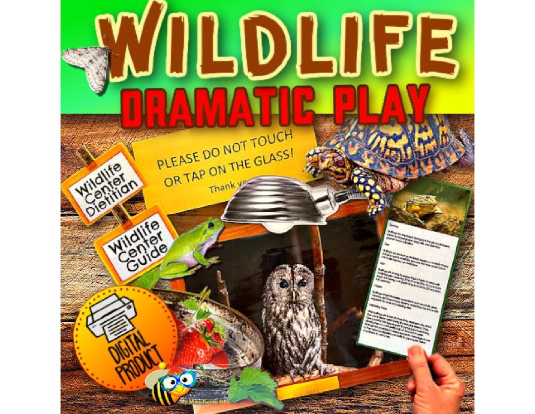 Wildlife Center Dramatic Play | Animal Pretend Play | Preschool Play ...