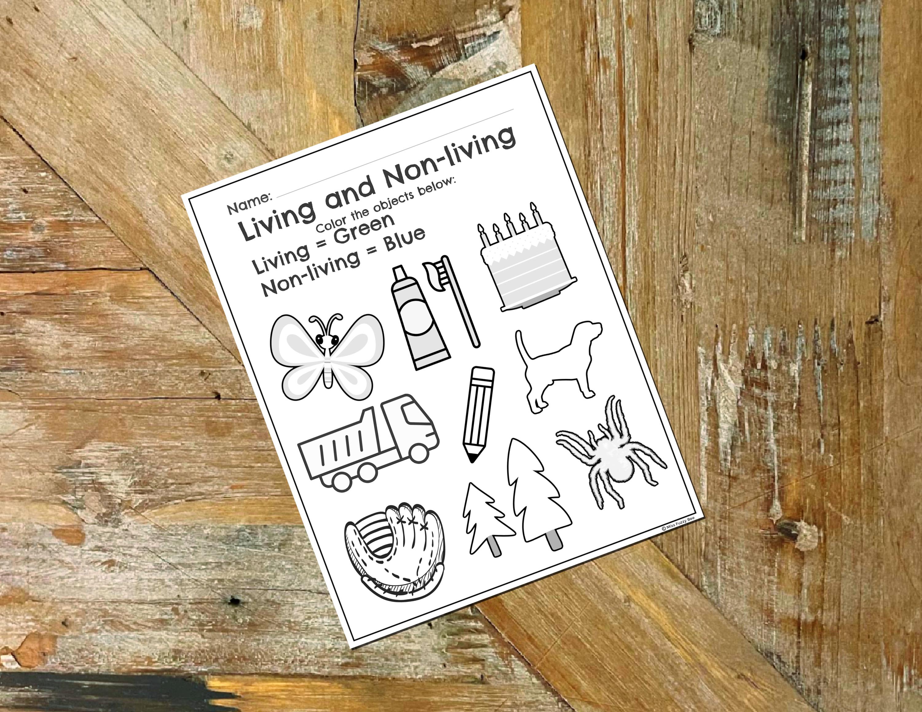 Living and Non-living Sorting | Sensory Bin Center Activity | Sorting ...