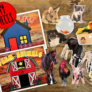 Animal Sorting | Animal Theme | Farm Animals | House Pets | Center ...