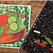 Make a Salad Sensory Bin | Vegetable Activity | Sensory Bin Activity ...