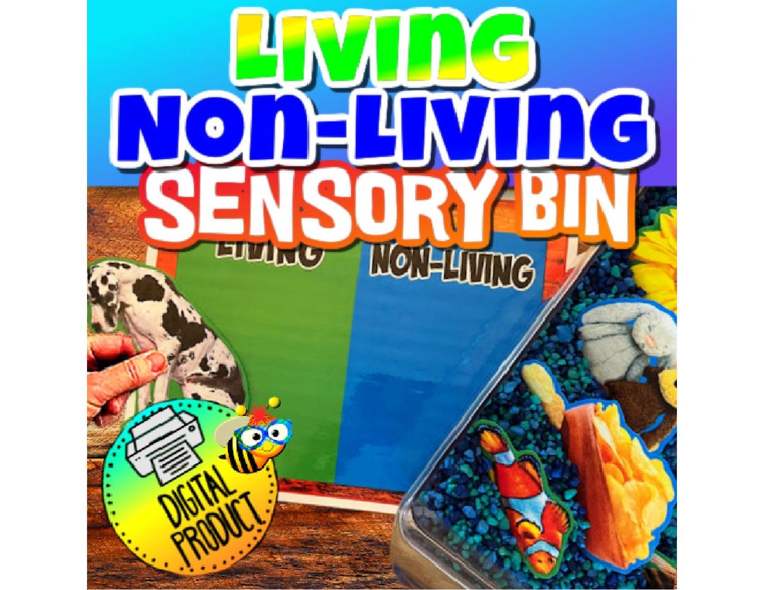 Living and Non-living Sorting | Sensory Bin Center Activity | Sorting ...