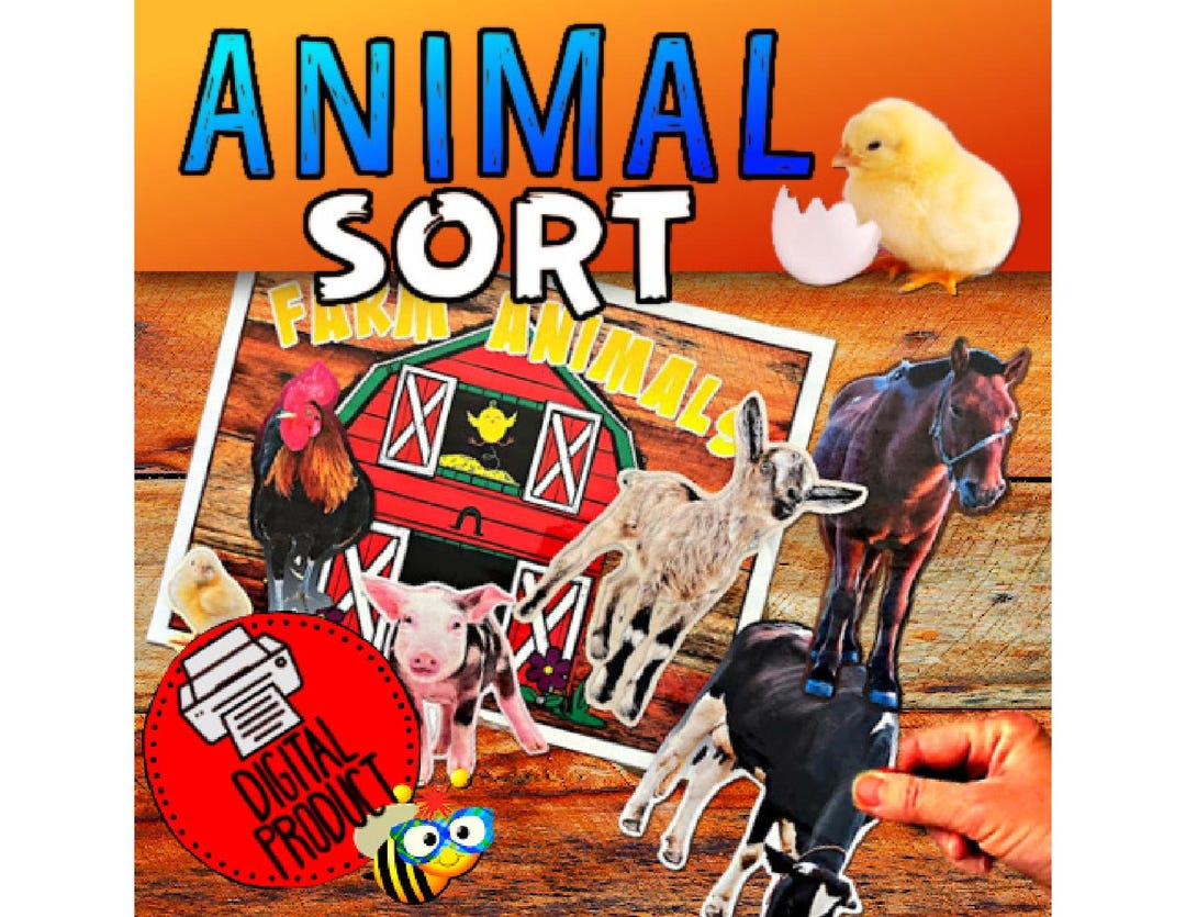 Animal Sorting | Animal Theme | Farm Animals | House Pets | Center ...